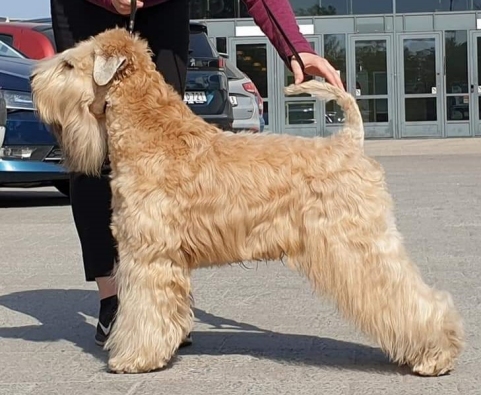 Untitled Document [lakkas.se]